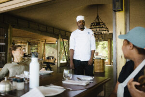 An Unforgettable African Safari in Botswana - Michelle Norwood Living